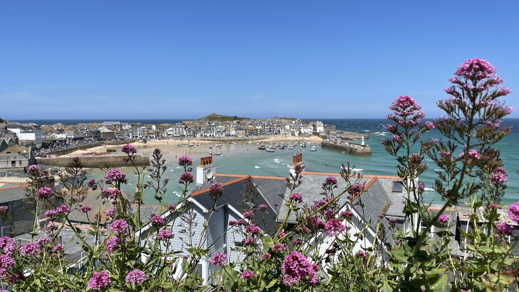 Cornwall, Devon & Dorset (14. jún) – Skotganga